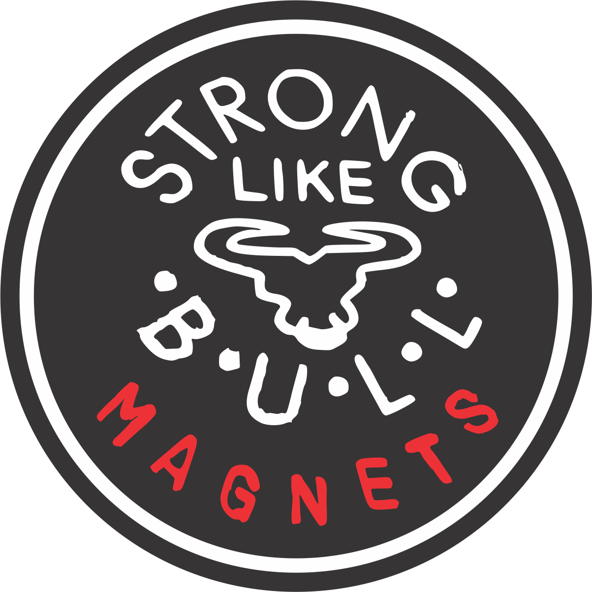 Super Strong & Powerful Neodymium Magnets by STRONG LIKE BULL Magnets